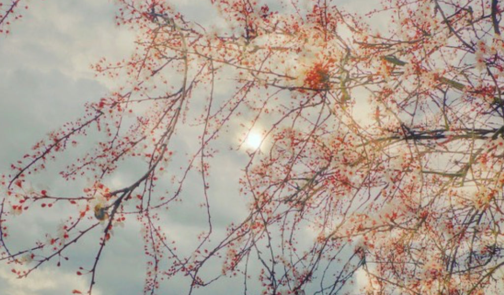 LED Light Therapy: The Ultimate Stress Reliever – The Light Salon